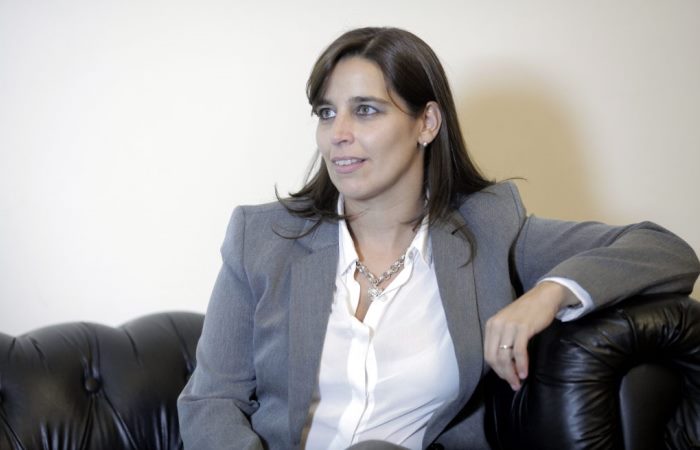 UNA ADOPCIÓN GRATUITA – GEF Informa